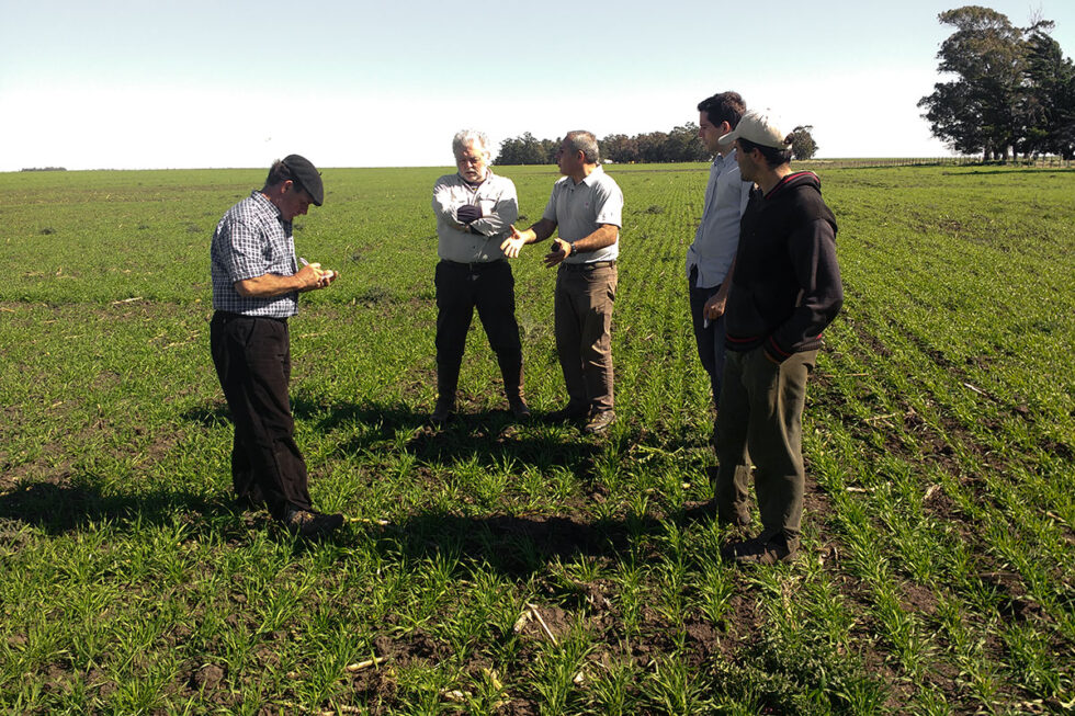 “La agroecología es una forma diferente de pensar la ruralidad, con ...