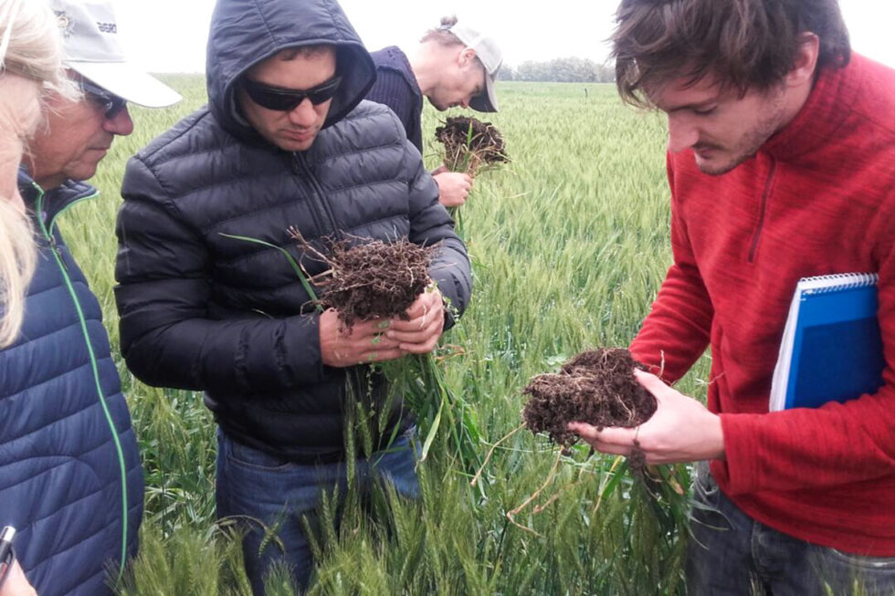 “La agroecología es una forma diferente de pensar la ruralidad, con ...