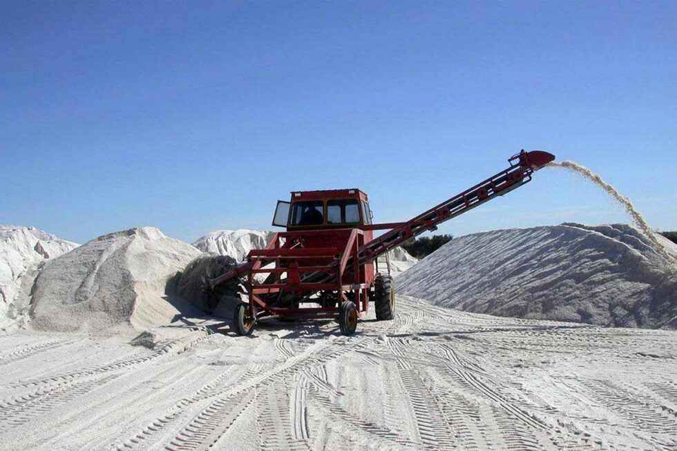 "La Ley Bases y el RIGI son un nuevo régimen de saqueo, entrega y ...